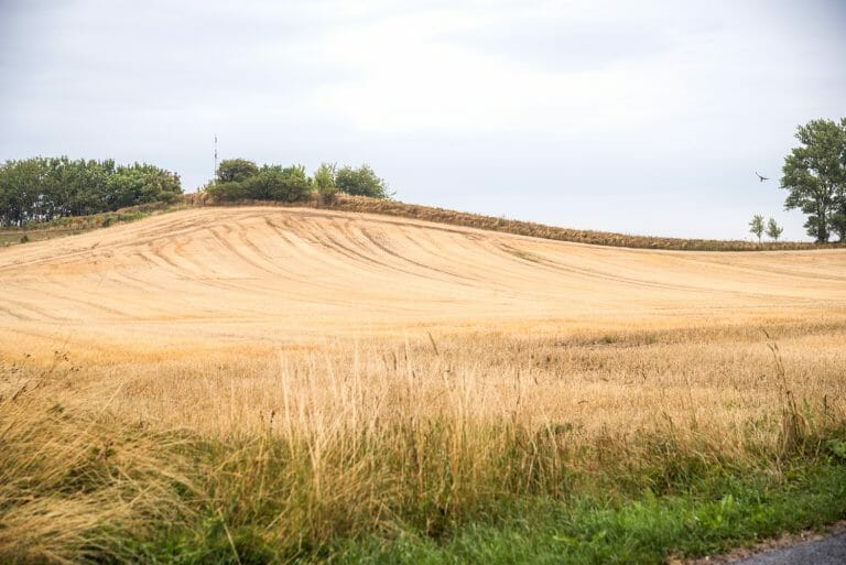 Perfect Itinerary for a Relaxing Weekend in Samsø