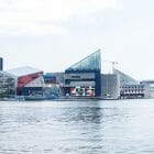 Top Things to Do in Downtown Baltimore You Can't Miss!