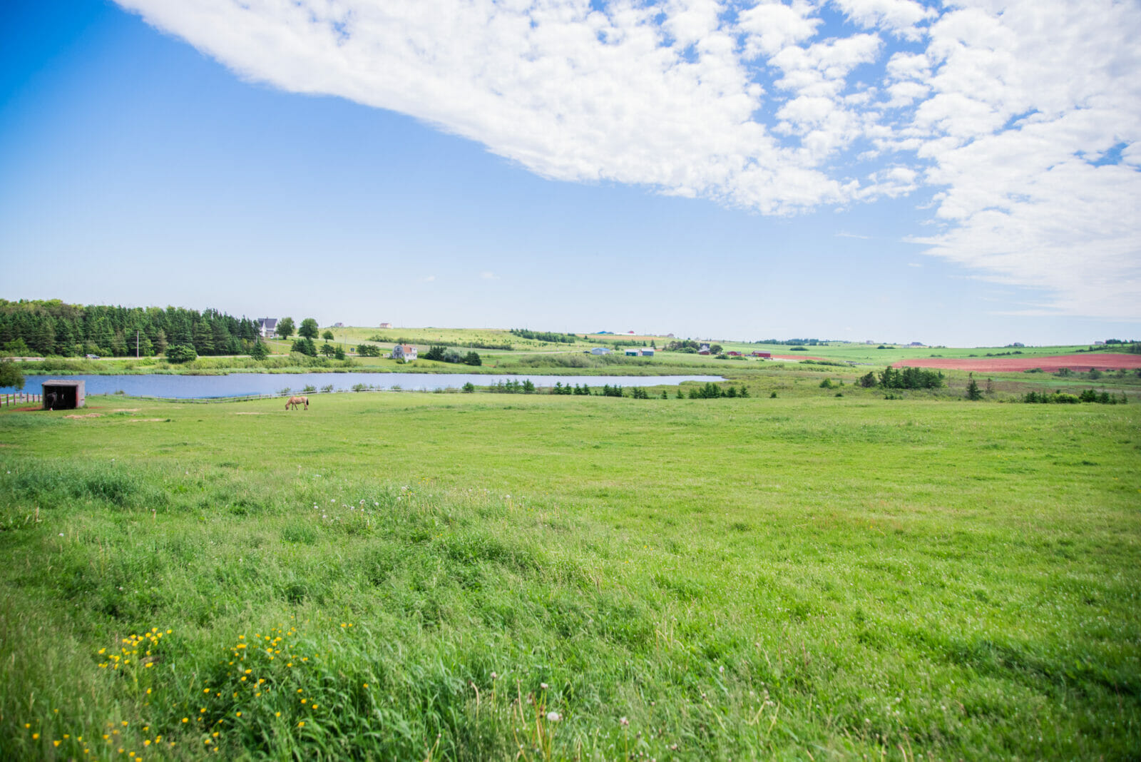 Top Anne of Green Gables Locations to Experience on PEI