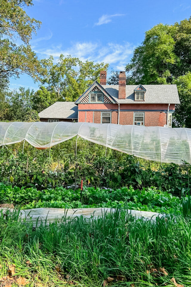 7 Farms to Visit in and Around Philadelphia