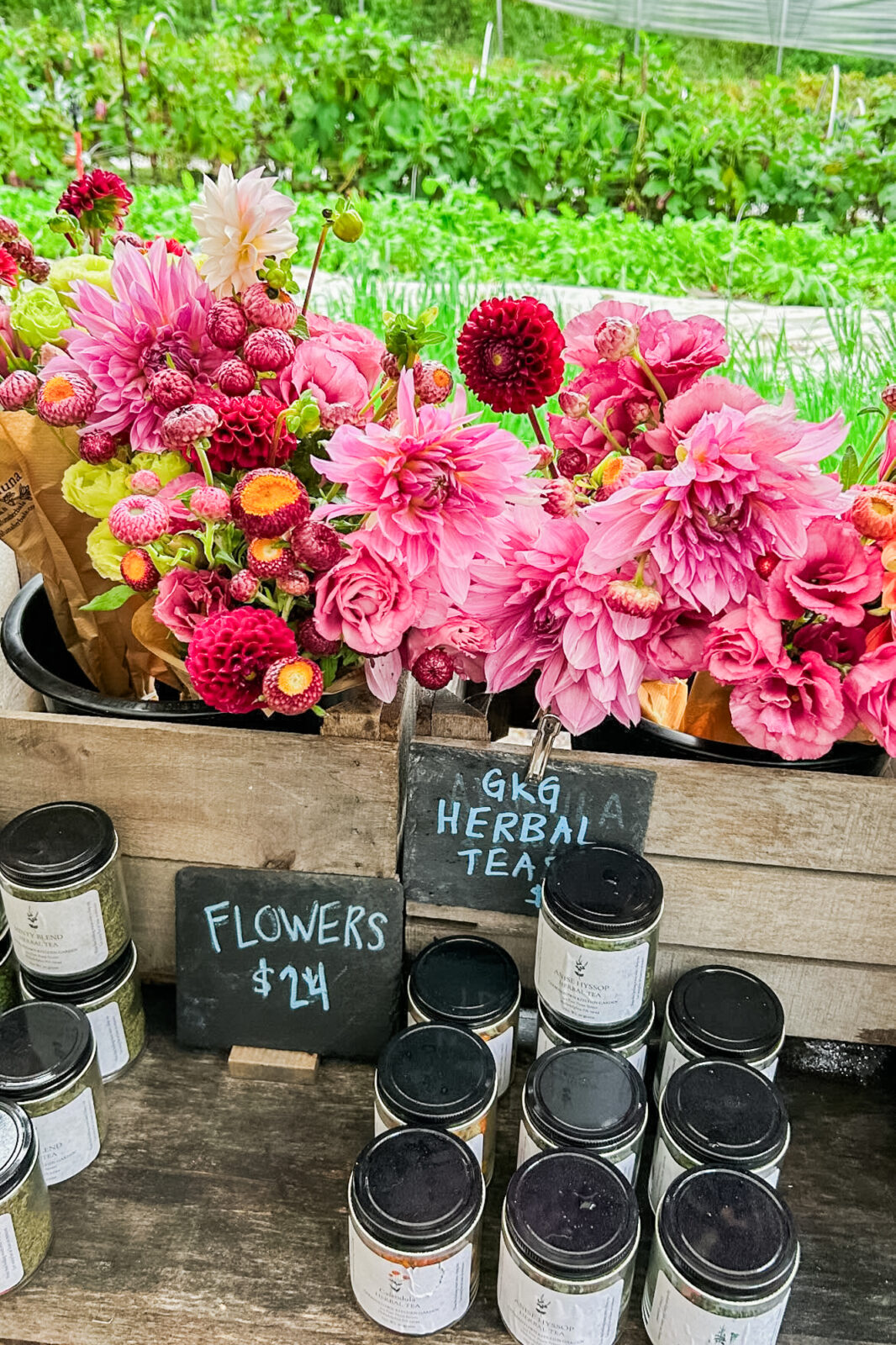 7 Farms to Visit in and Around Philadelphia