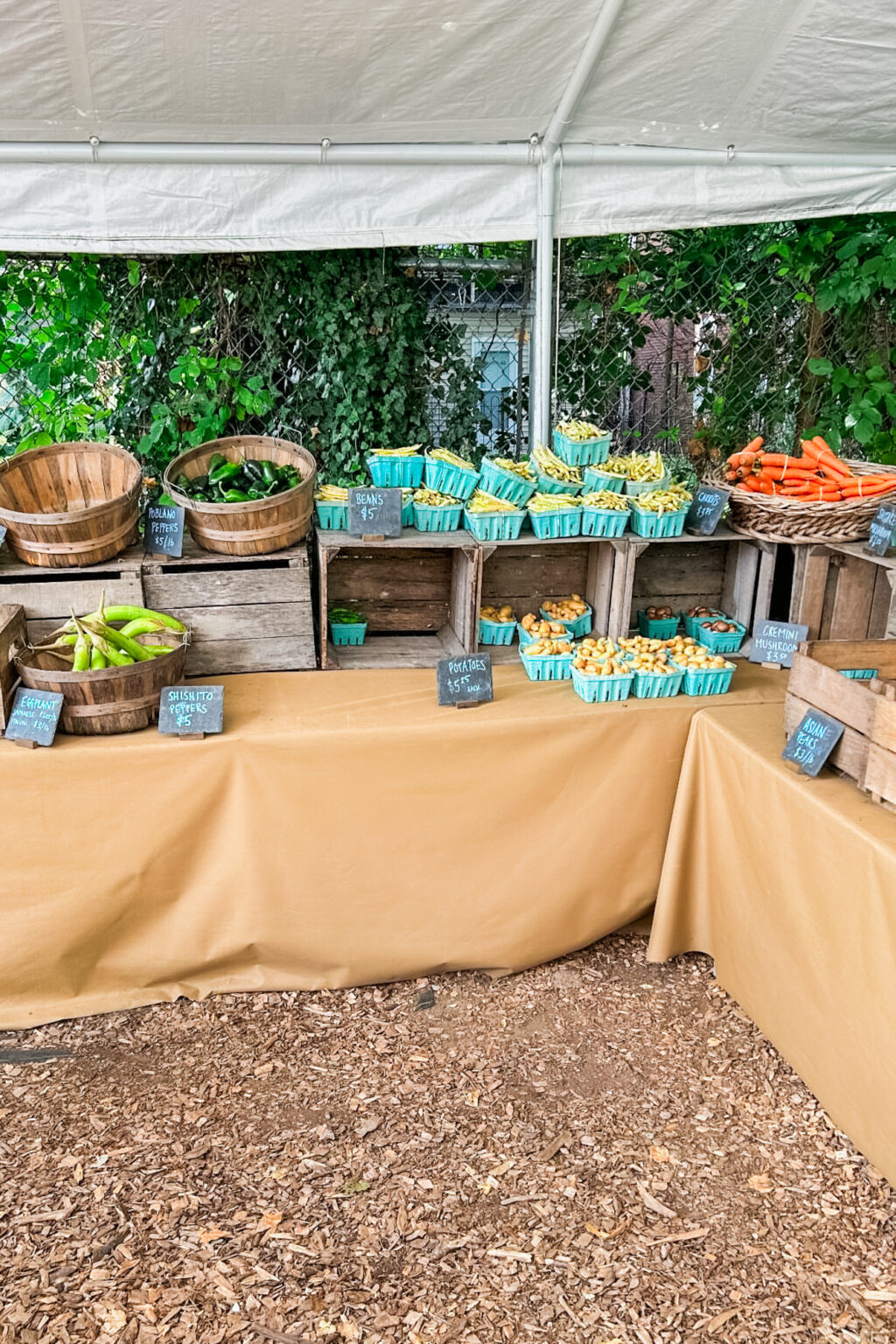 7 Farms to Visit in and Around Philadelphia