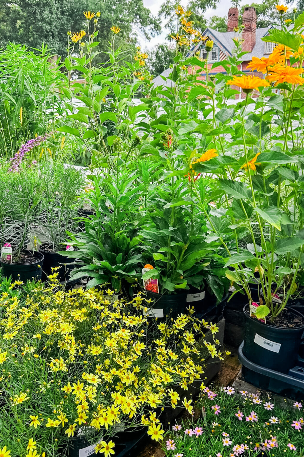 7 Farms to Visit in and Around Philadelphia